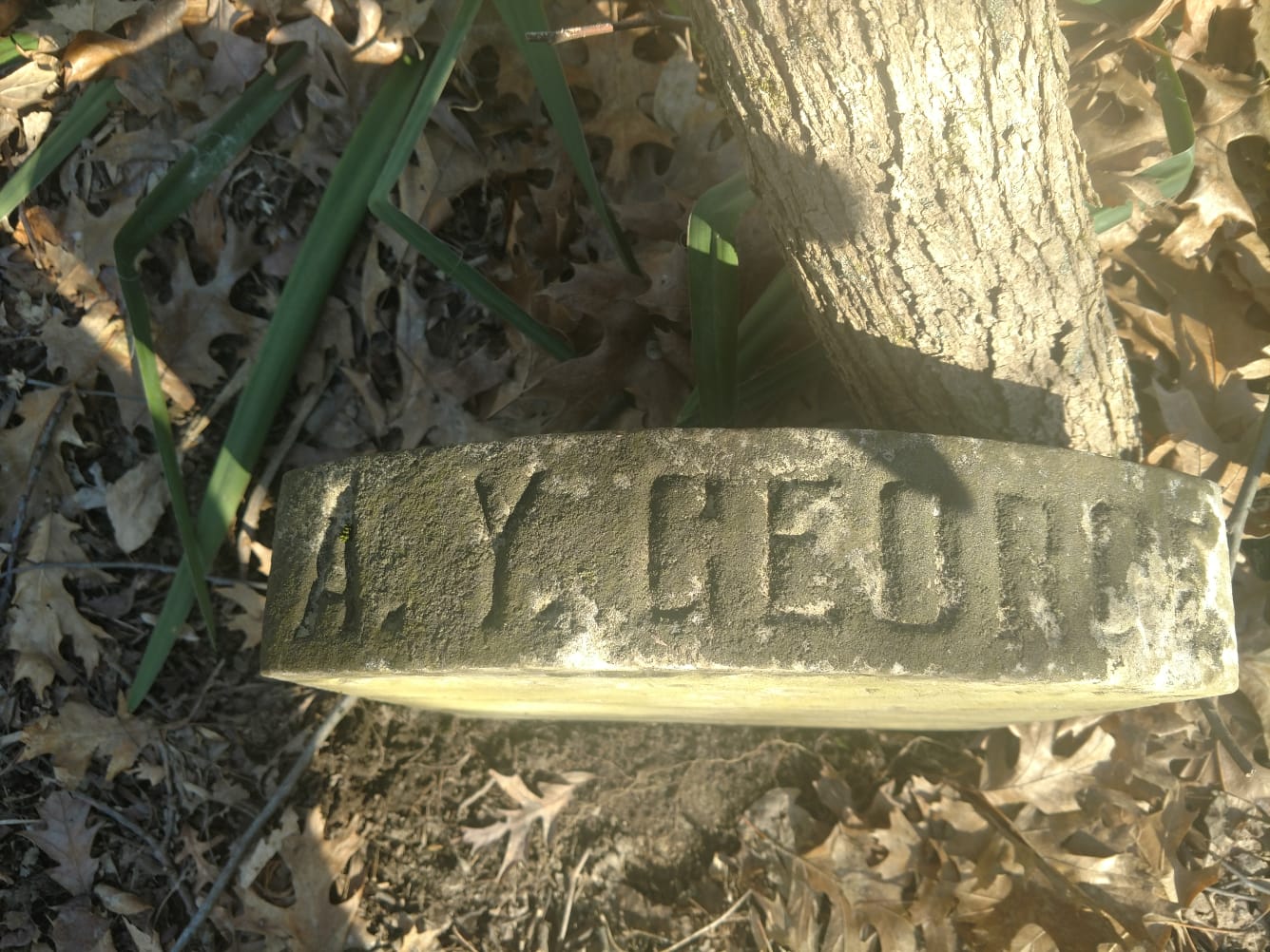 Lower Miami Cemetery – Dayton Unknown